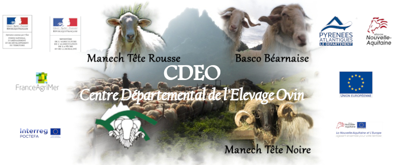 HISTOIRE DU CDEO - Centre Départemental Elevage Ovin (CDEO)