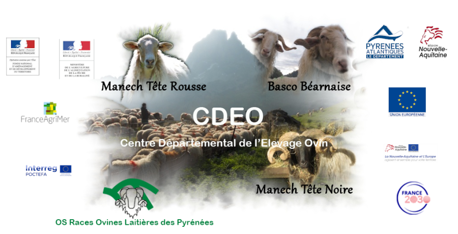 Le CDEO - Centre Départemental Elevage Ovin (CDEO)